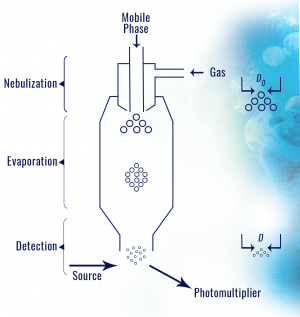 ELSD detector and automatic Gain (SAGA)