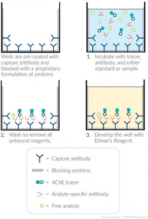 ELISA Kits : The solution to immunoassay methods