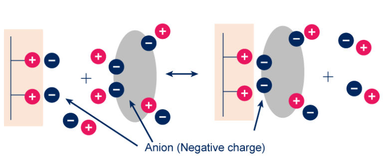 Analysis & purification of proteins: all about Ion Exchange ...