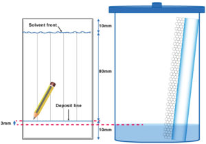 TLC Fundamentals – How to make a successful TLC plate (part 3)