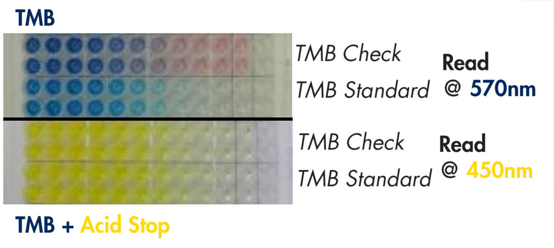 What is the ideal substrate for your ELISA analyses?