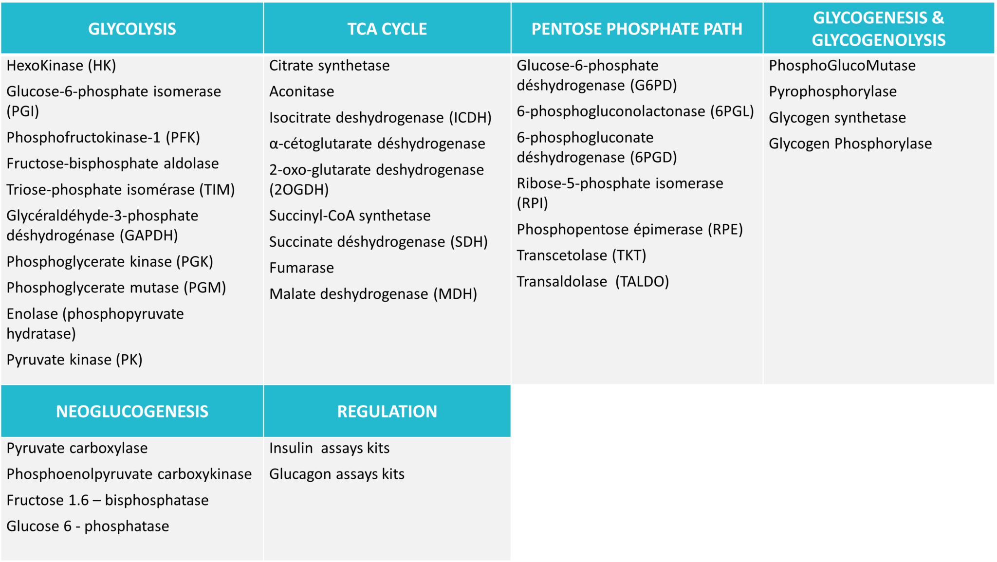 Glucose metabolism: study of pathways, enzymes and metabolites