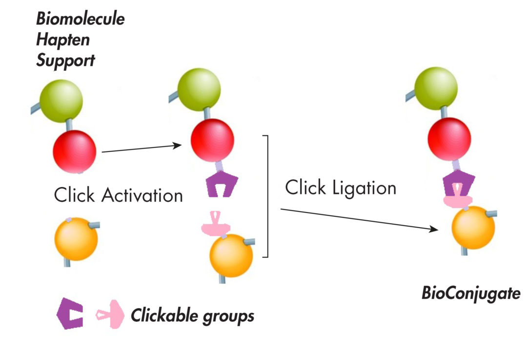 Exploring advanced Click Chemistry for versatile and efficient ...